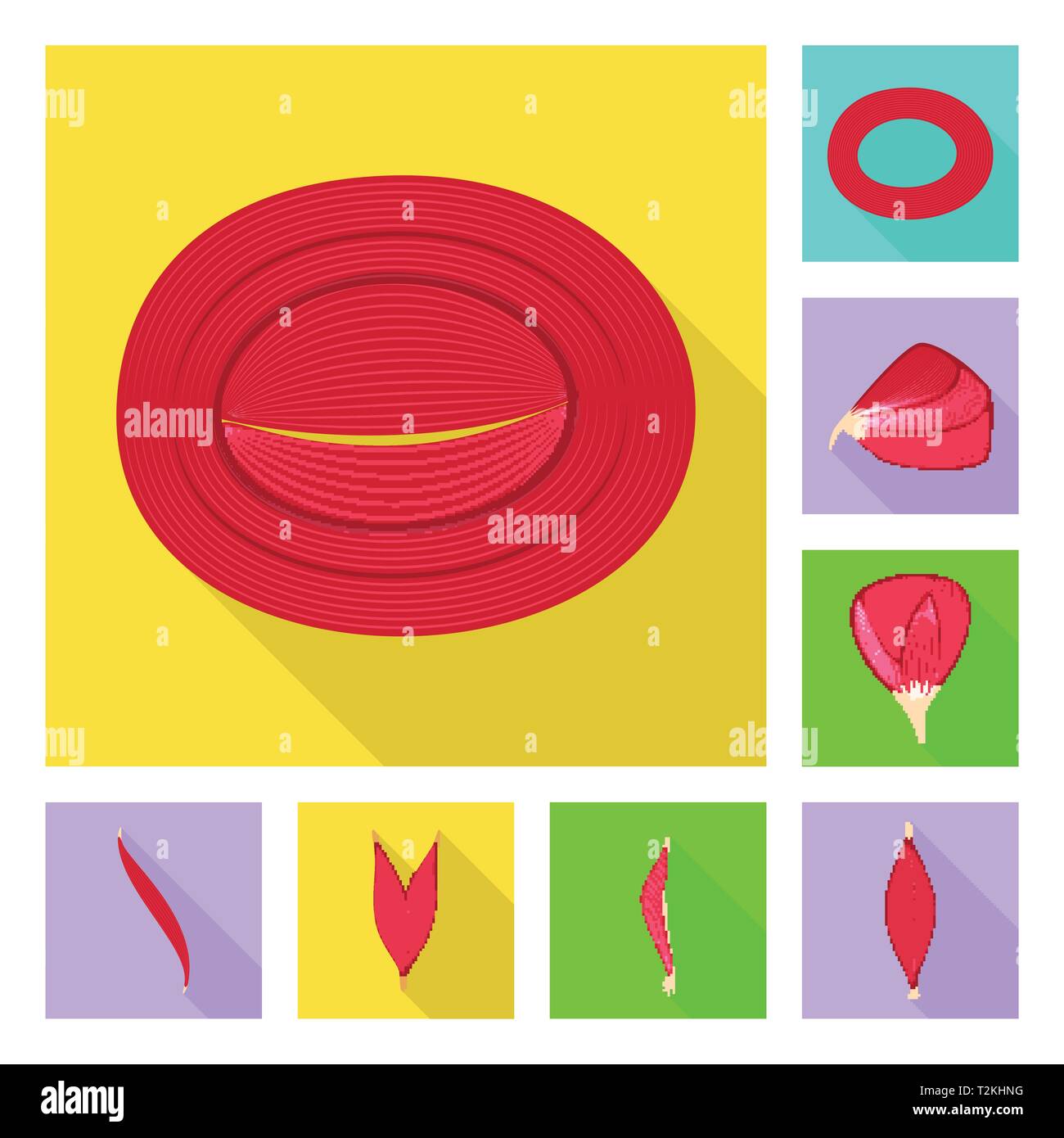 Vector illustration of muscle and cells logo. Set of muscle and anatomy ...