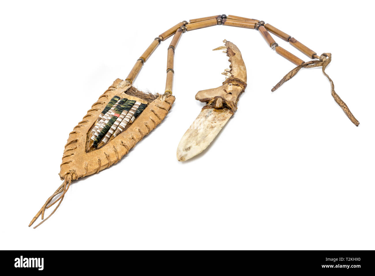 Porcupine sharp quills Cut Out Stock Images & Pictures - Alamy