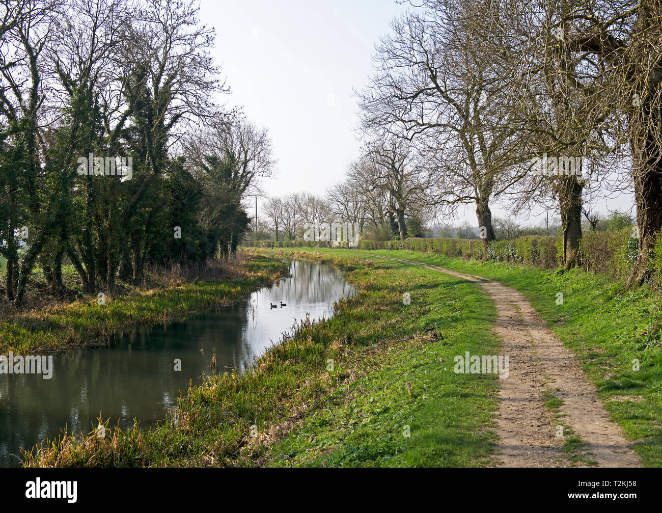 Pocklington Canal, East Yorkshire, England UK Stock Photo - Alamy