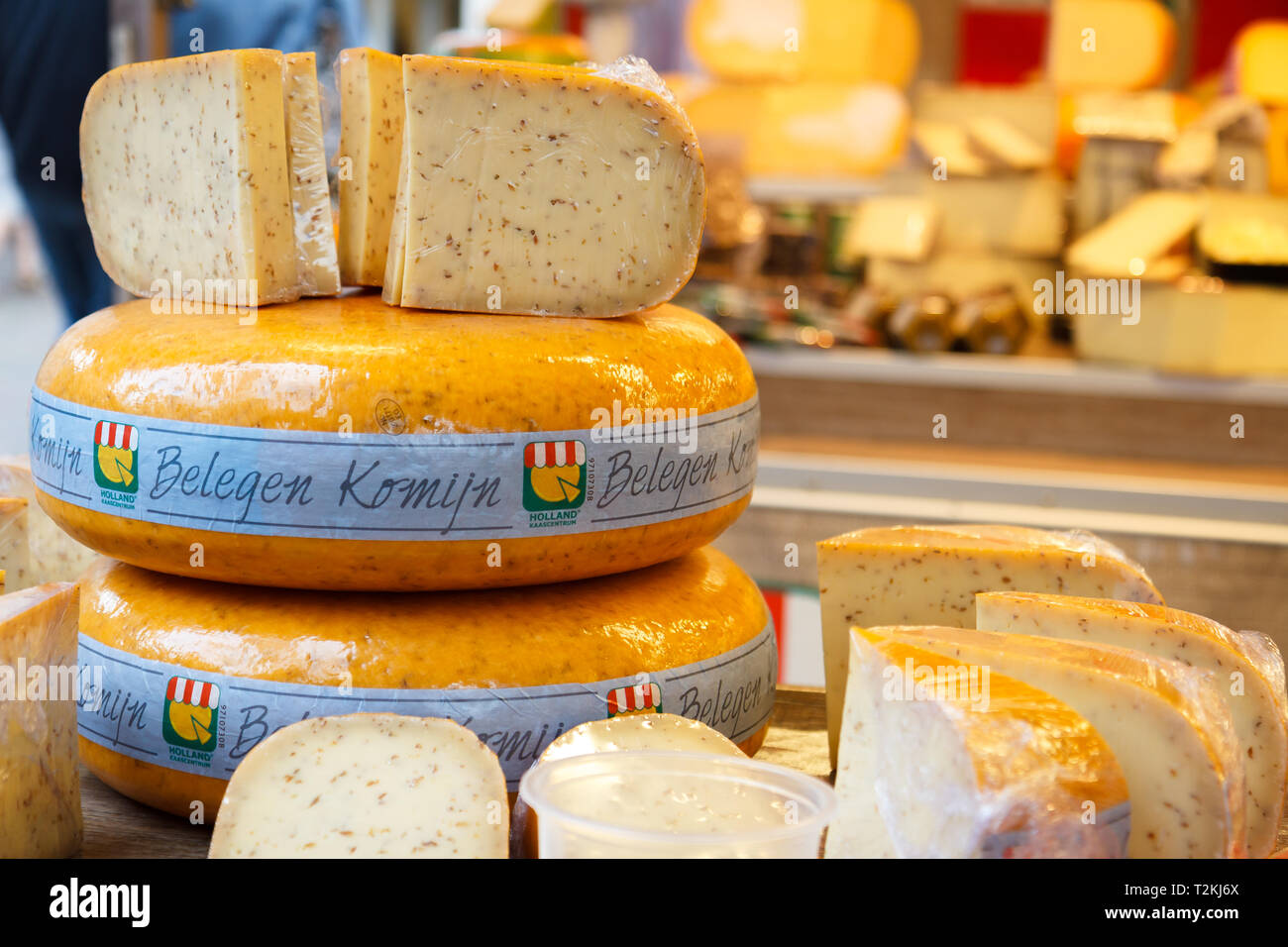 Dutch Food Cheese