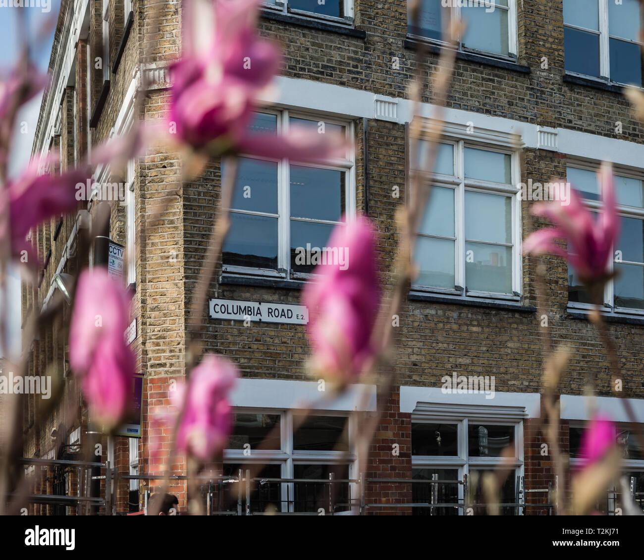 columbia road flower market