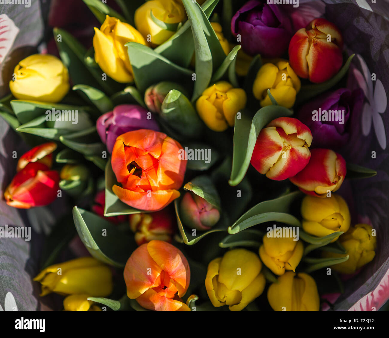 A splash of colour of flowers Stock Photo - Alamy