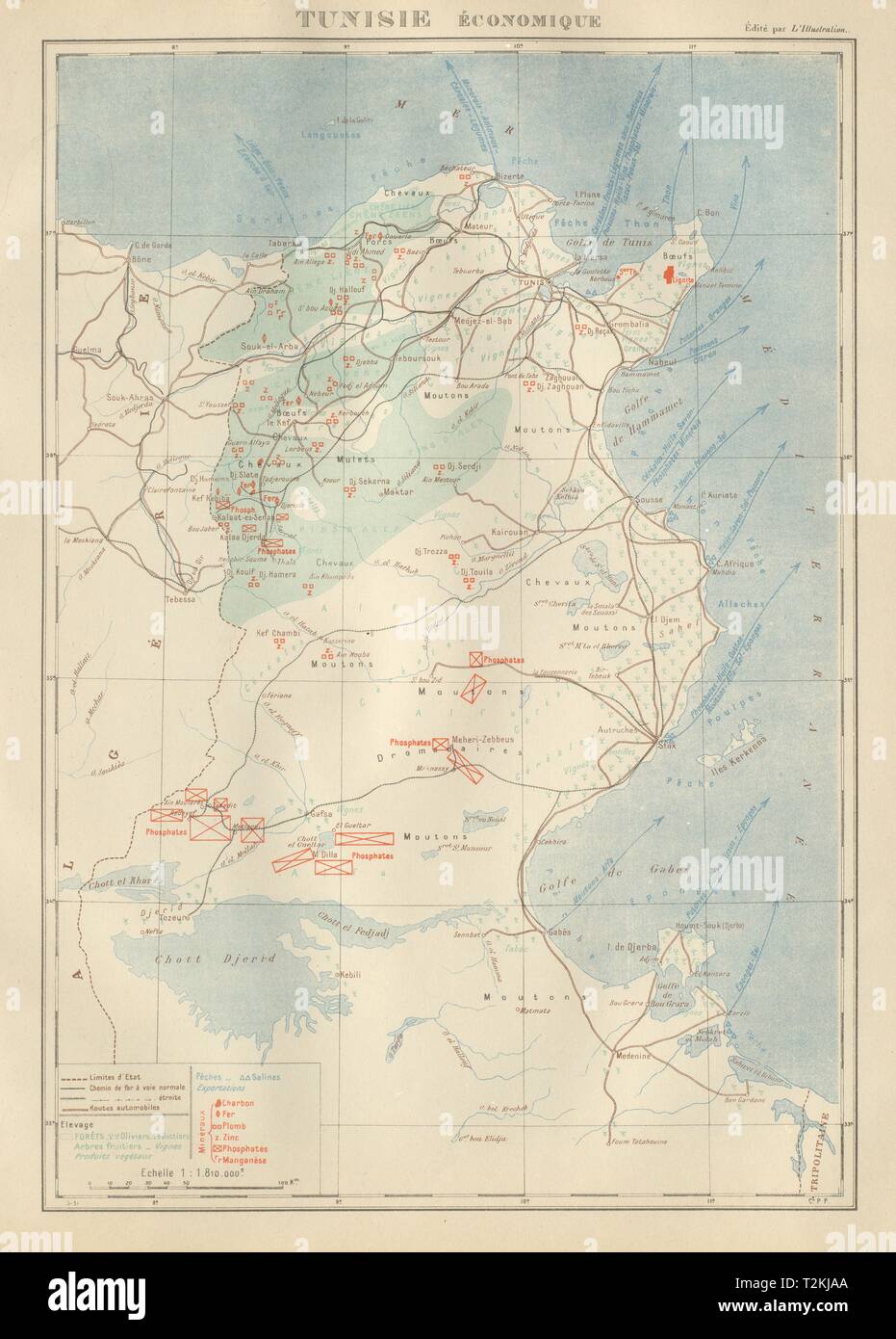 FRENCH COLONIAL TUNISIA RESOURCES. Tunisie. Economique Economic 1931 ...