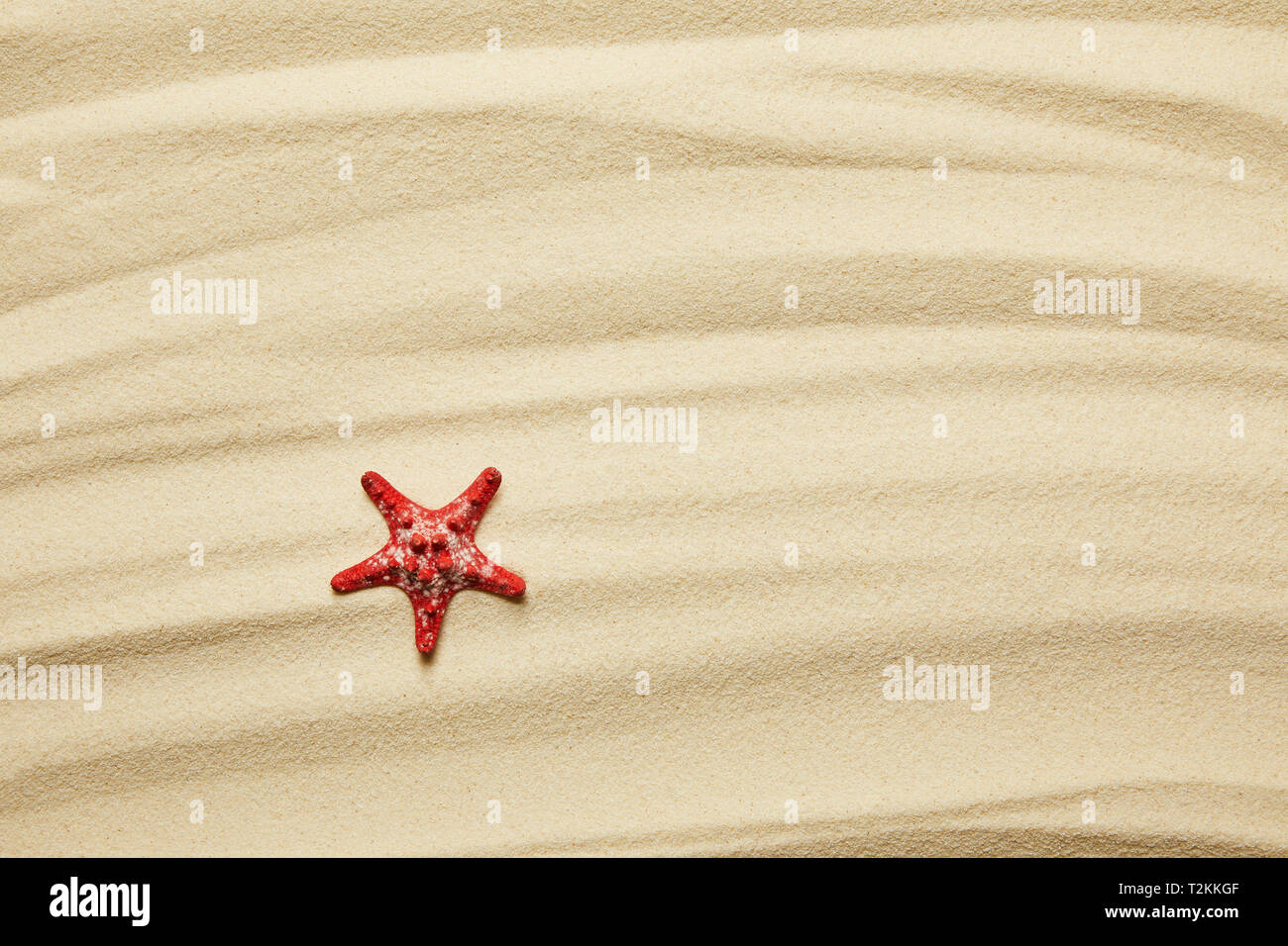 red starfish on golden sandy beach in summertime Stock Photo - Alamy