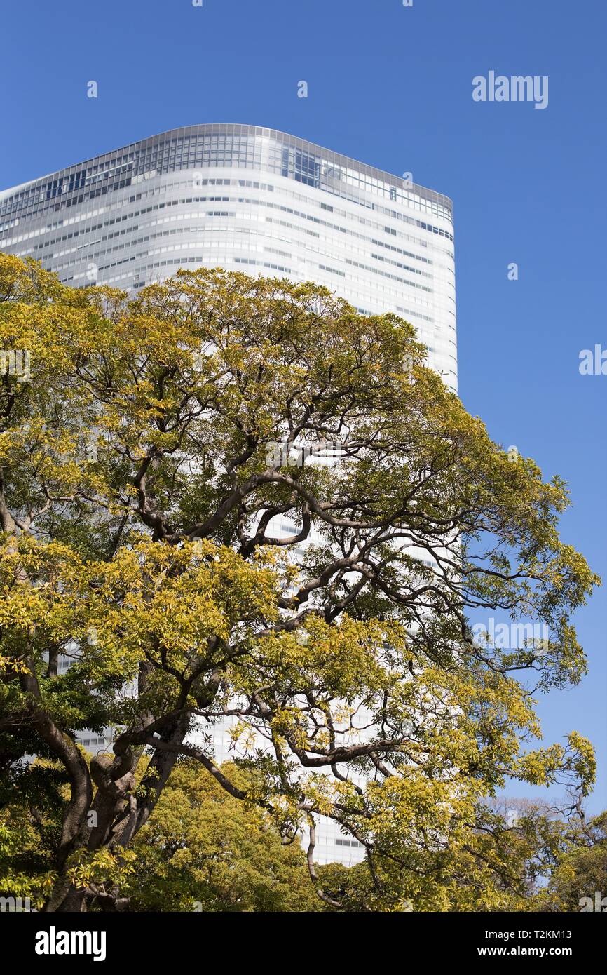 Dentsu building tokyo hi-res stock photography and images - Alamy