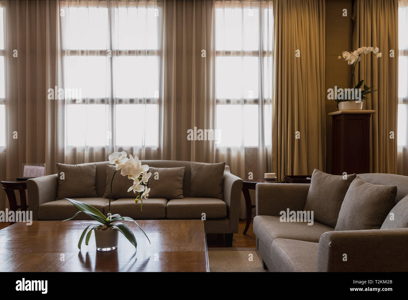 warm living room with direct sunlight Stock Photo - Alamy
