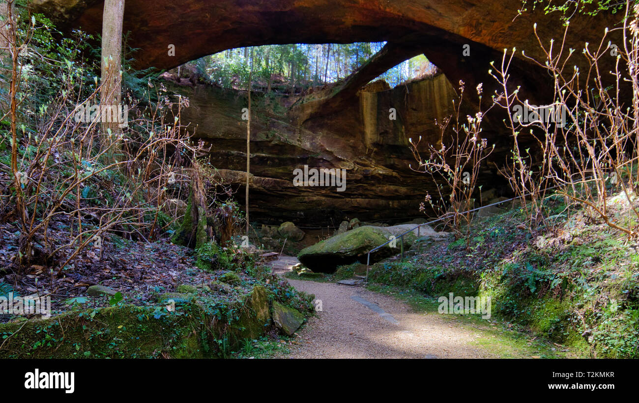 The Natural Bridge in Northern Alabama, is the largest free standing ...
