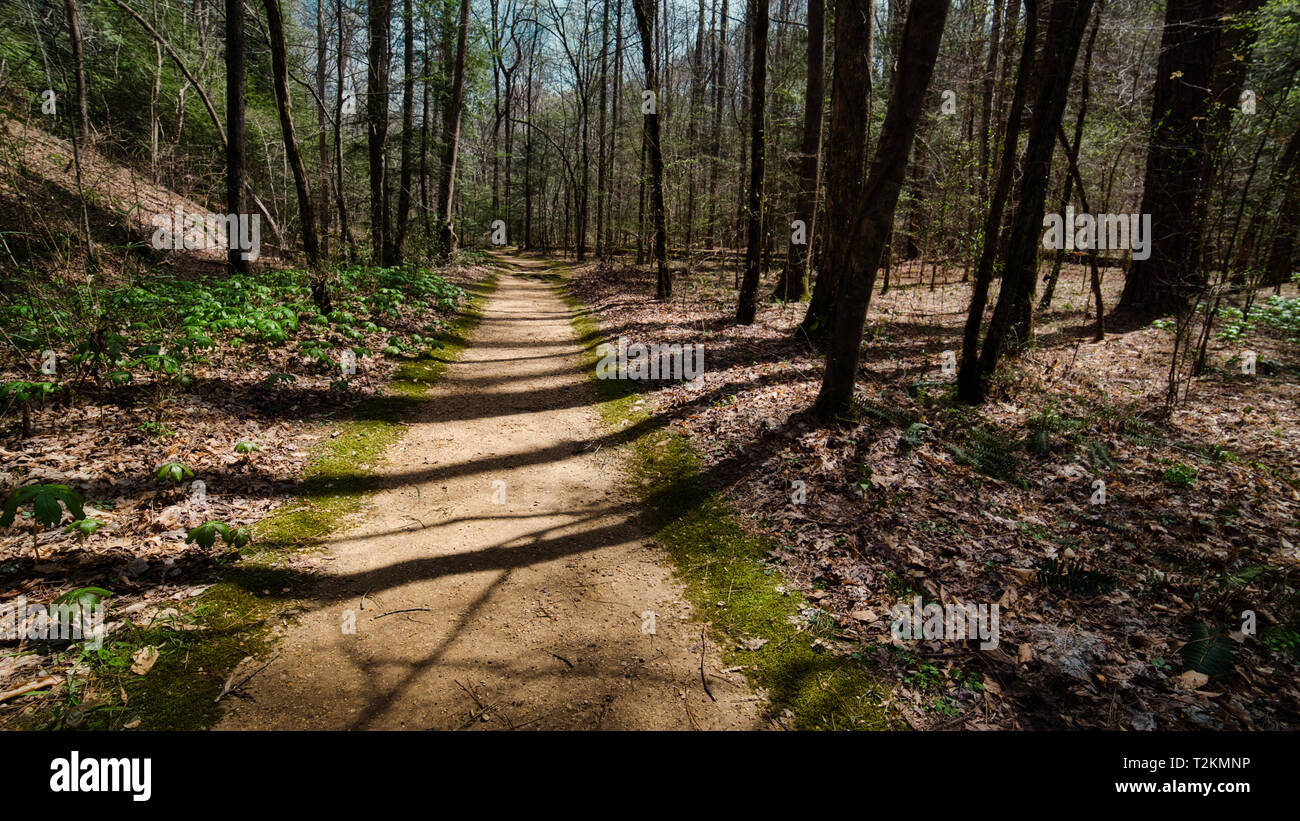 One of the hiking trails in the Natural Bridge scenic area in Northern ...