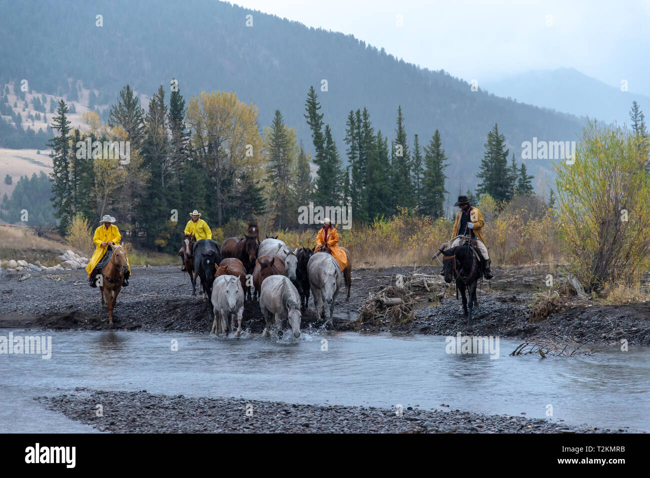 Regardless of horizontal hi-res stock photography and images - Alamy