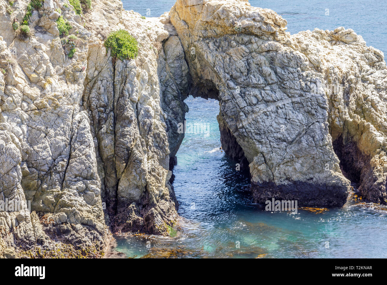 Green algae sea wall hi-res stock photography and images - Alamy