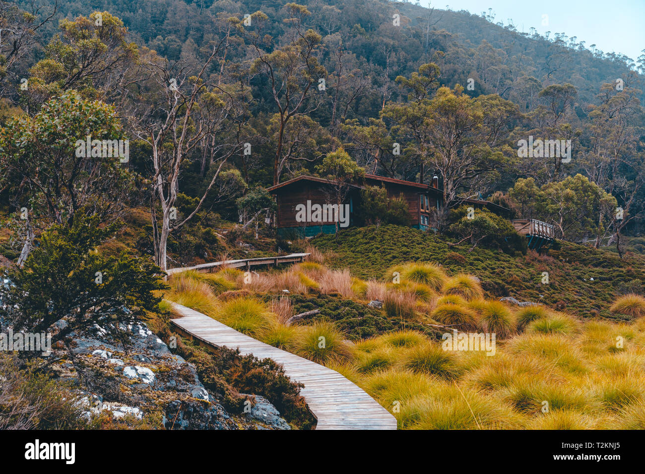 Tasmania Log Cabin Stock Photo - Alamy