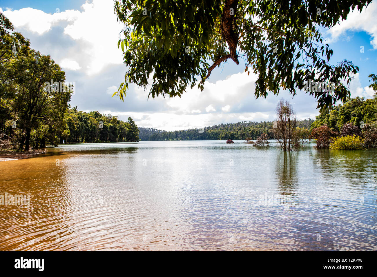 Australian spring water hi-res stock photography and images - Alamy