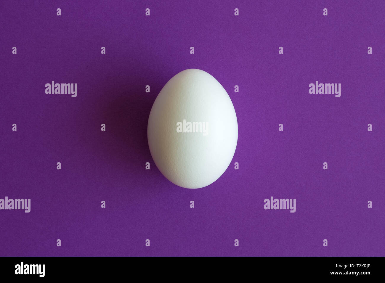 One white egg on purple background. Minimal concept Stock Photo - Alamy