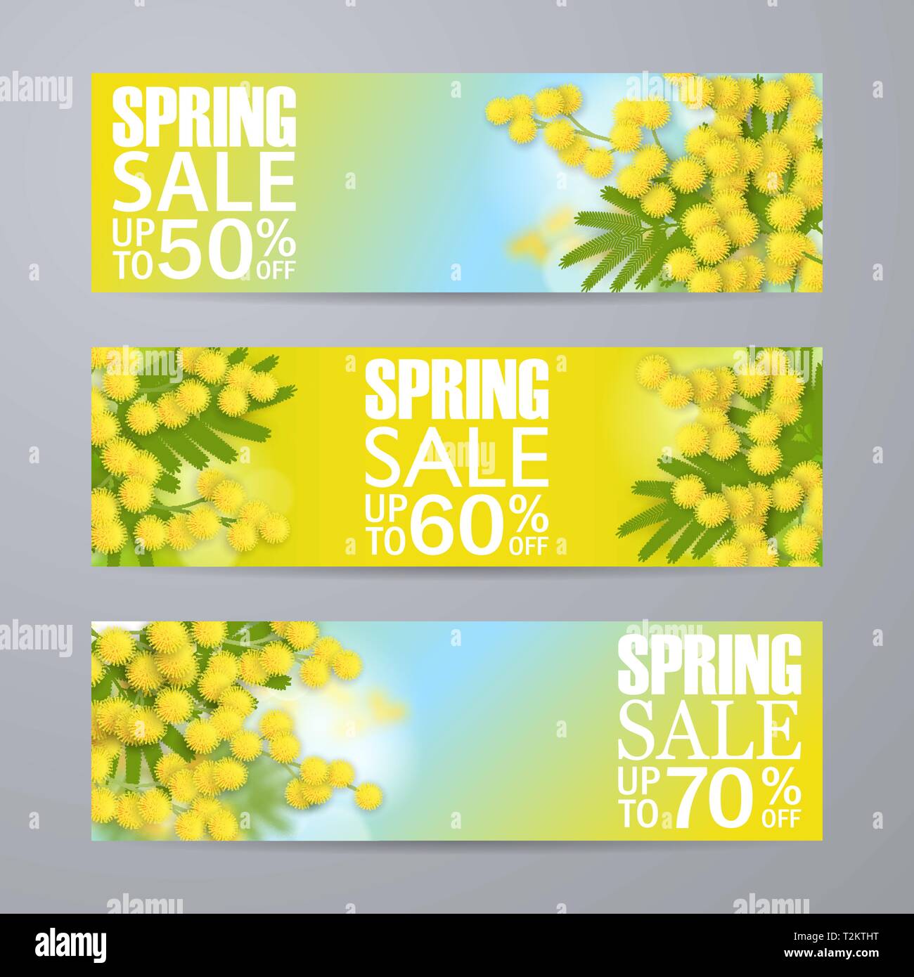 Mimosa leafs Stock Vector Images - Alamy