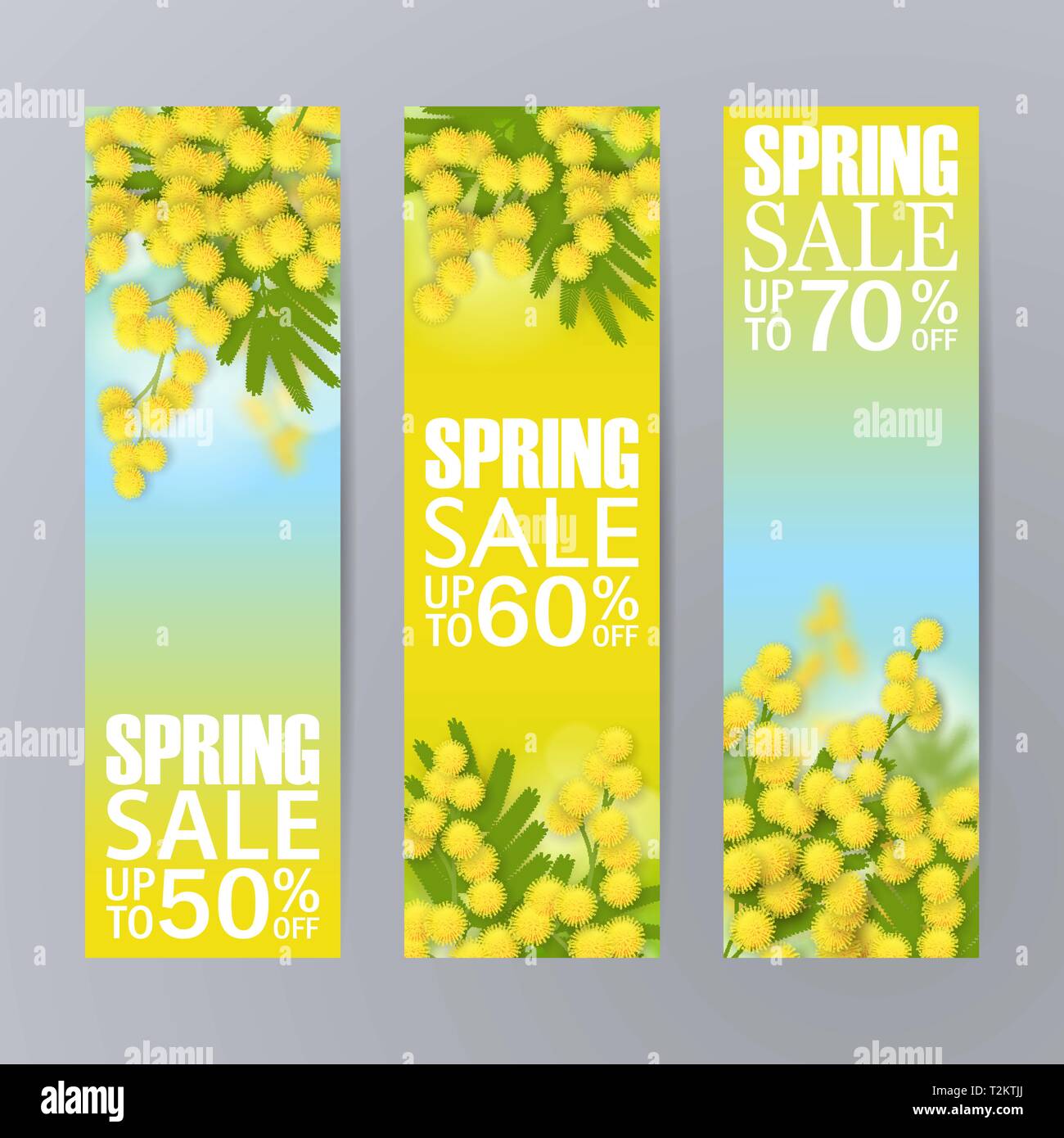 Mimosa tree Stock Vector Images - Alamy