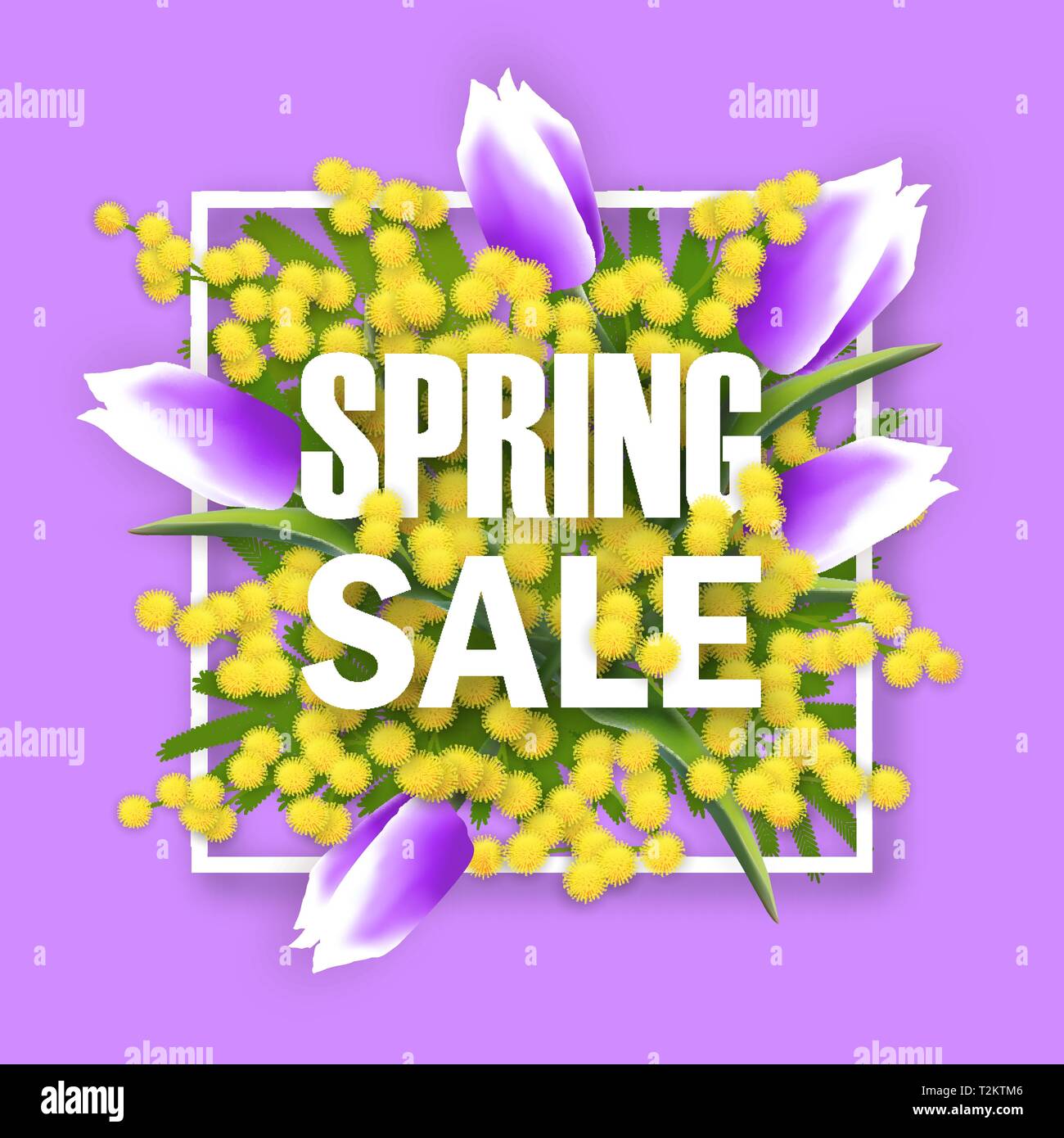Spring sale square banner with mimosa. 3d realistic branches, green ...