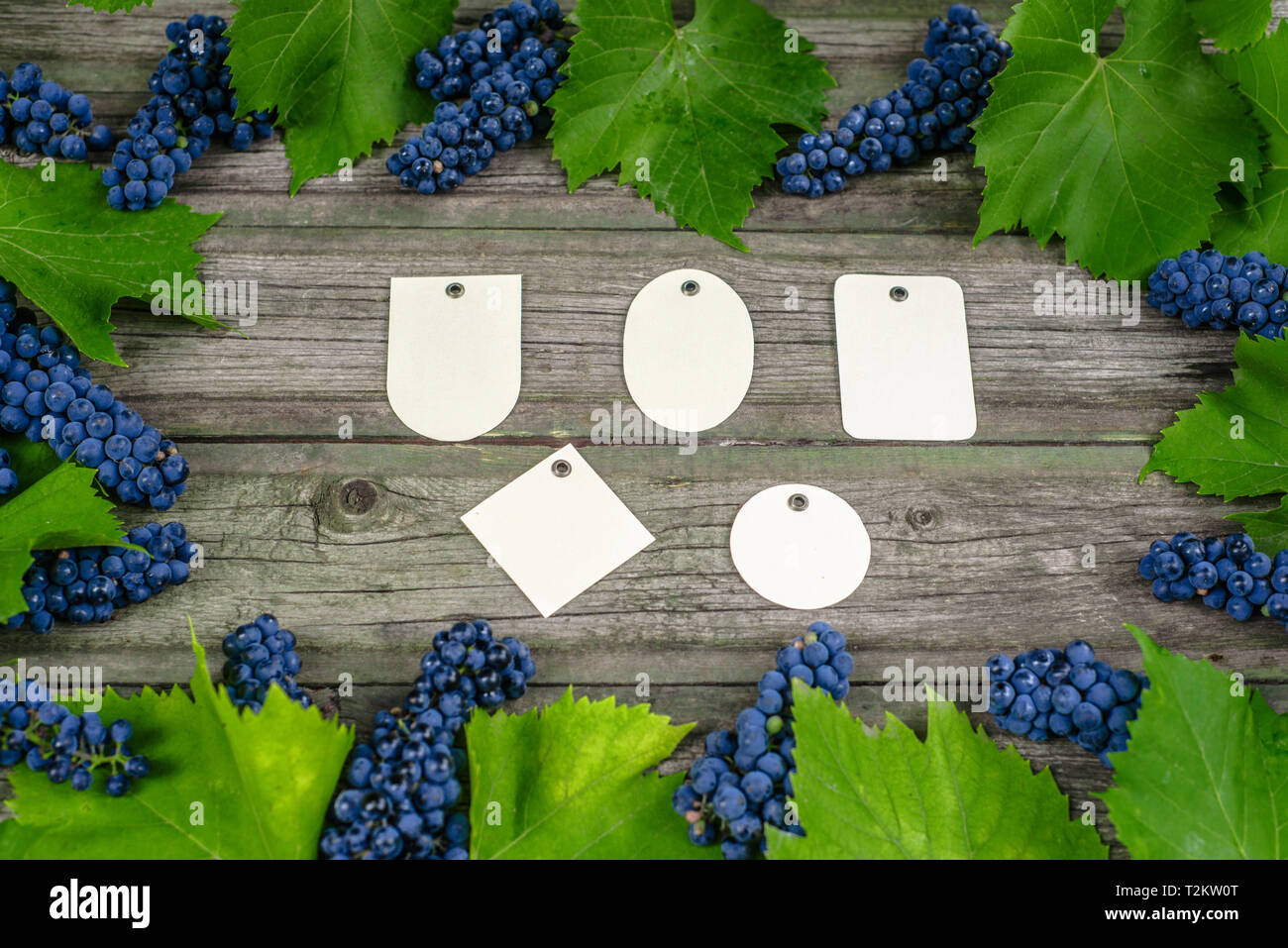 Vine with blue grapes and leaves around on vintage rustic wooden table ...