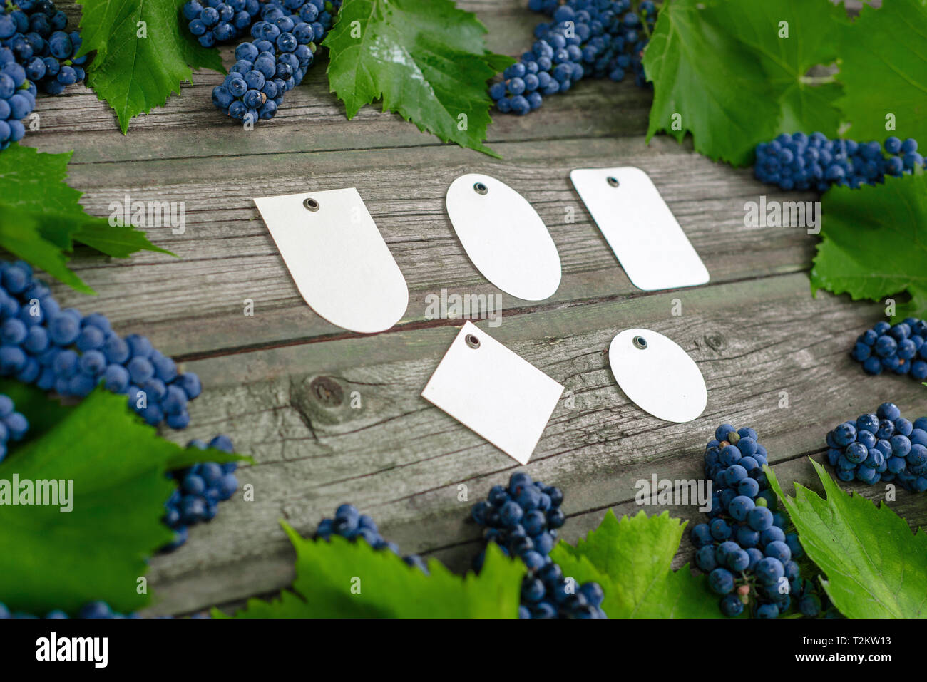 Vine with blue grapes and leaves around on vintage rustic wooden table ...