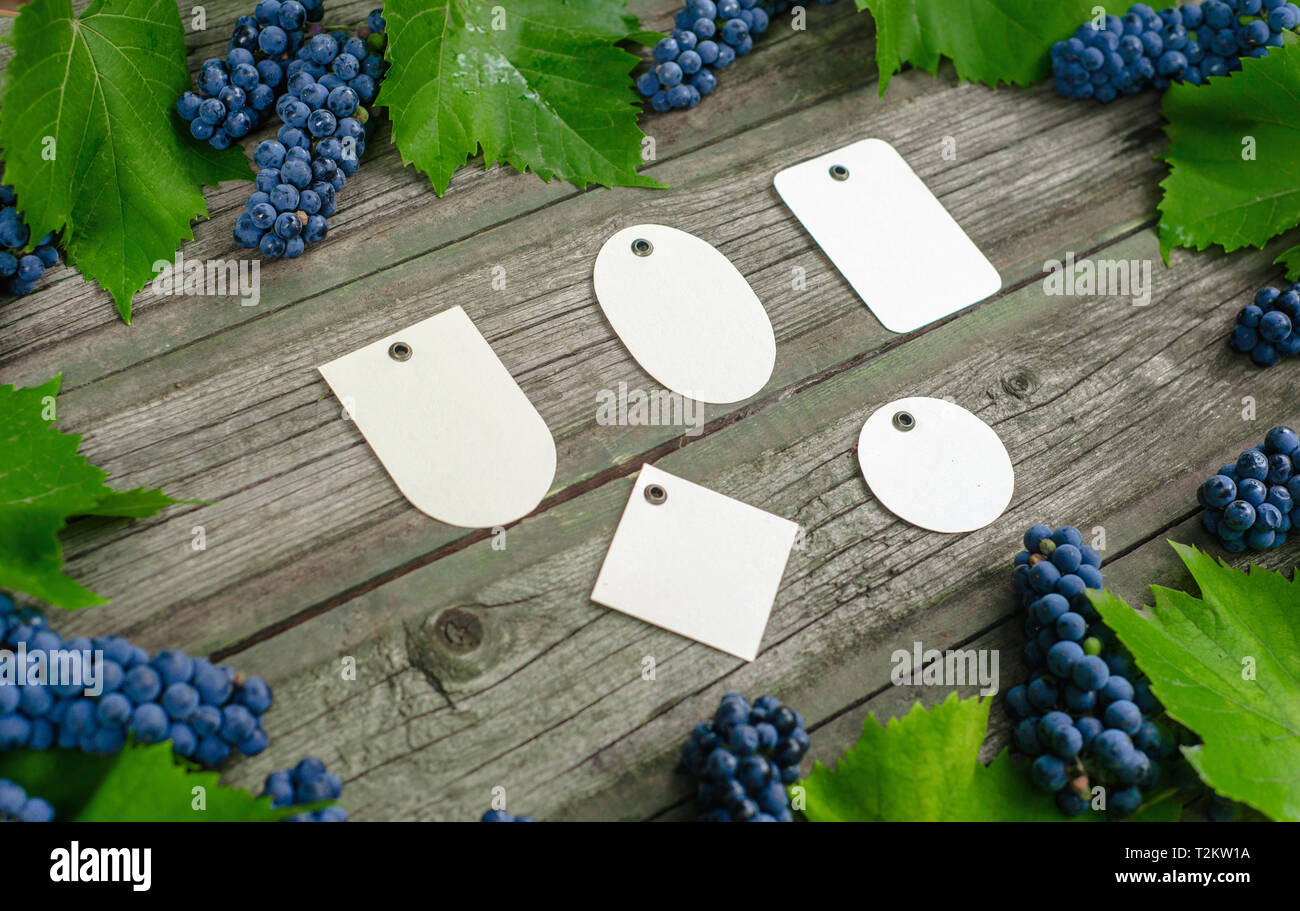 Vine with blue grapes and leaves around on vintage rustic wooden table ...