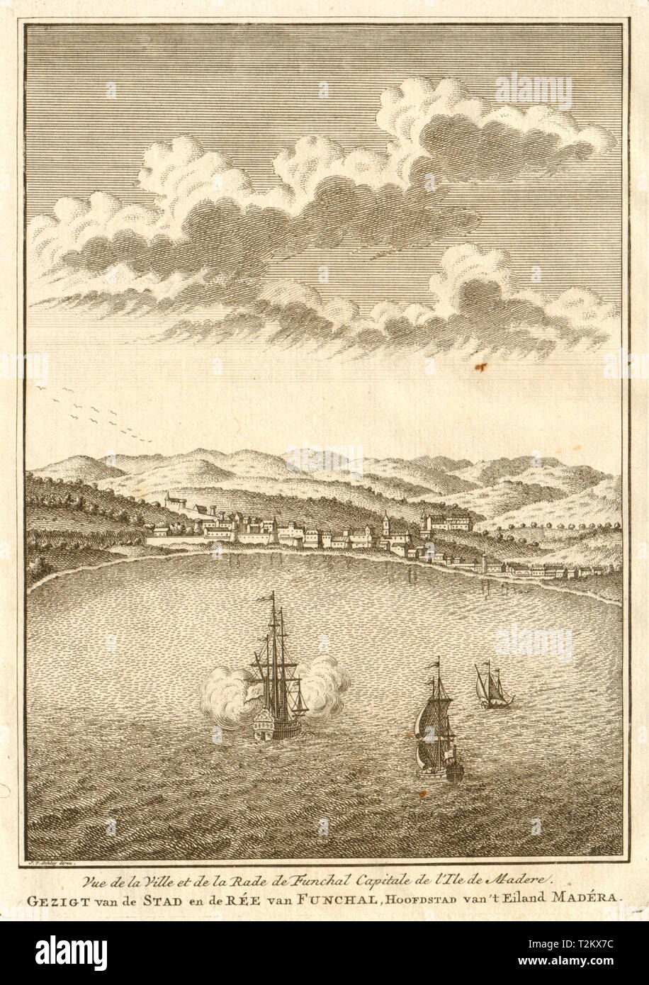 été madeira hi-res stock photography and images - Alamy