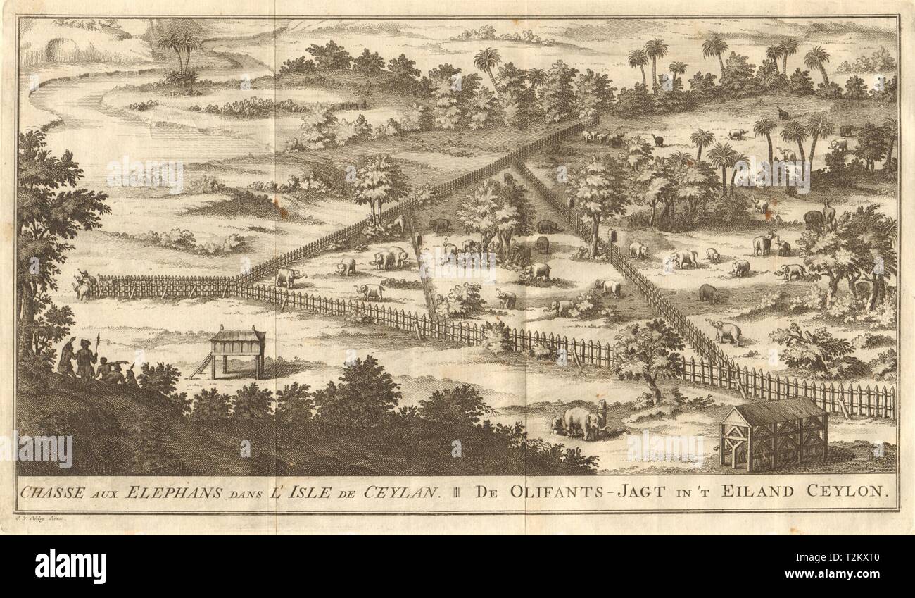'Chasse aux éléphans… I’Isle de Ceylan'. Elephants Ceylon Sri Lanka ...