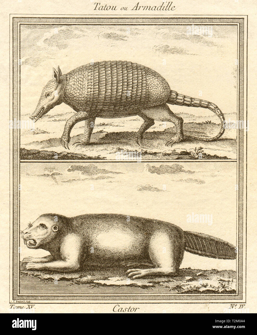 'Nouvelle Carte de l’Isle de Java'. Dutch East India Company. BELLIN ...