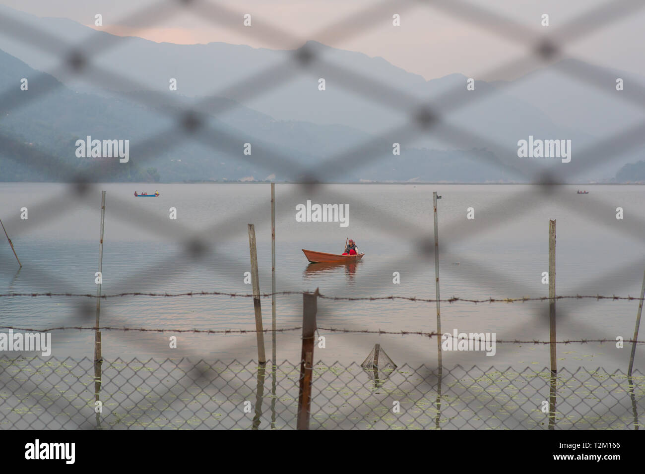 Nature behind chain link fence hi-res stock photography and images - Alamy