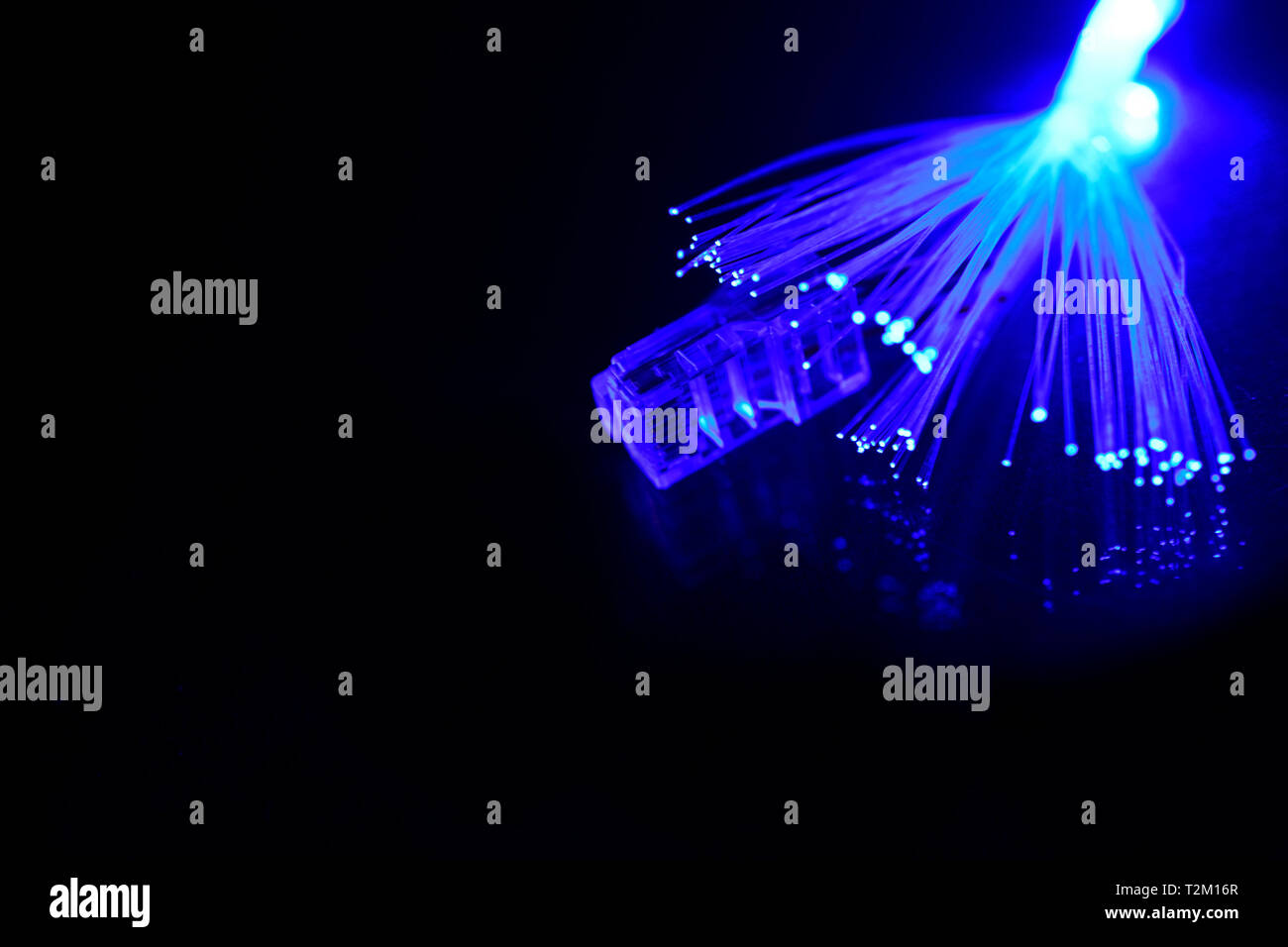 Network cable with fiber optics light on black background Stock Photo ...
