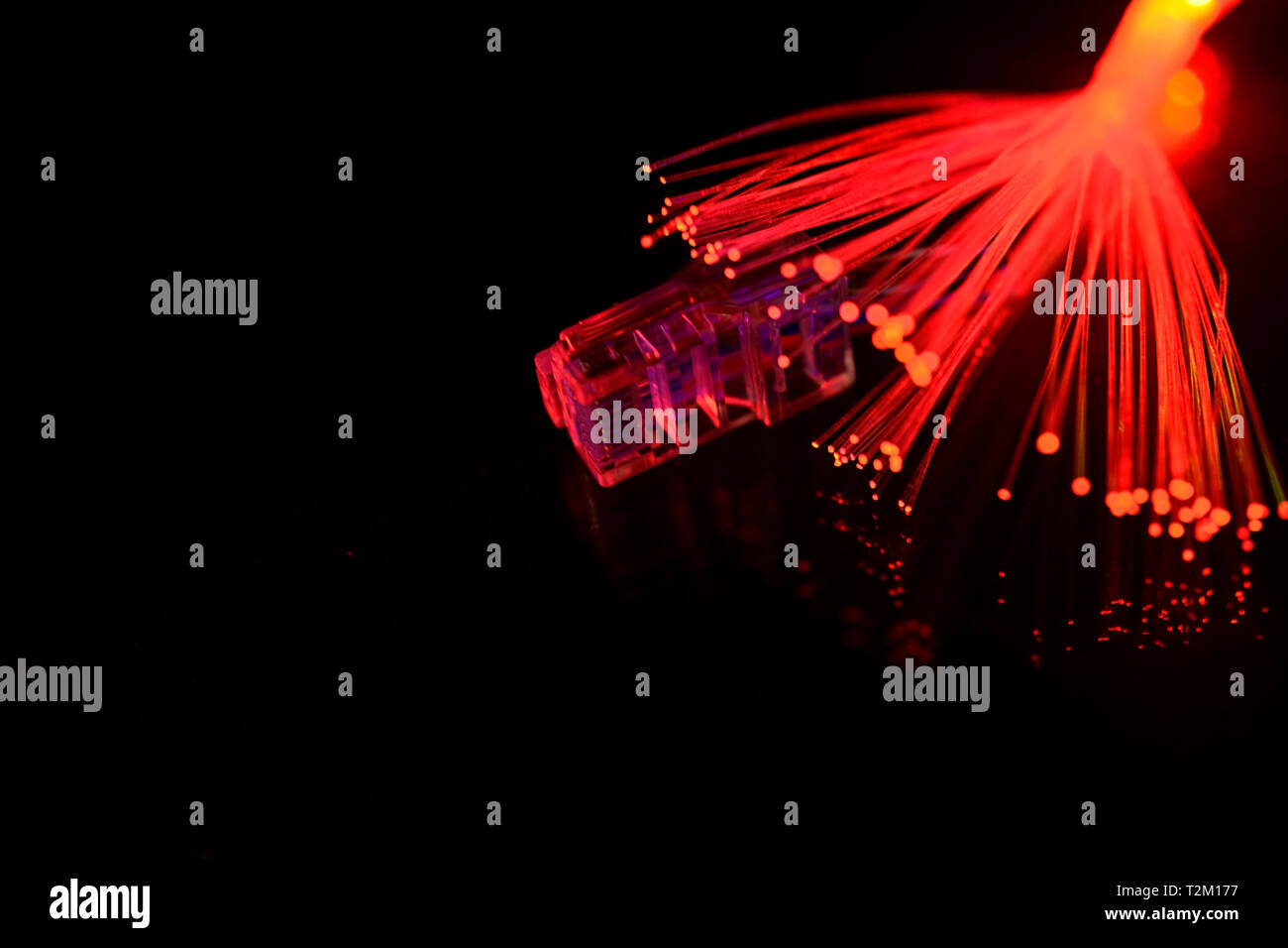 Network cable with fiber optics light on black background Stock Photo ...
