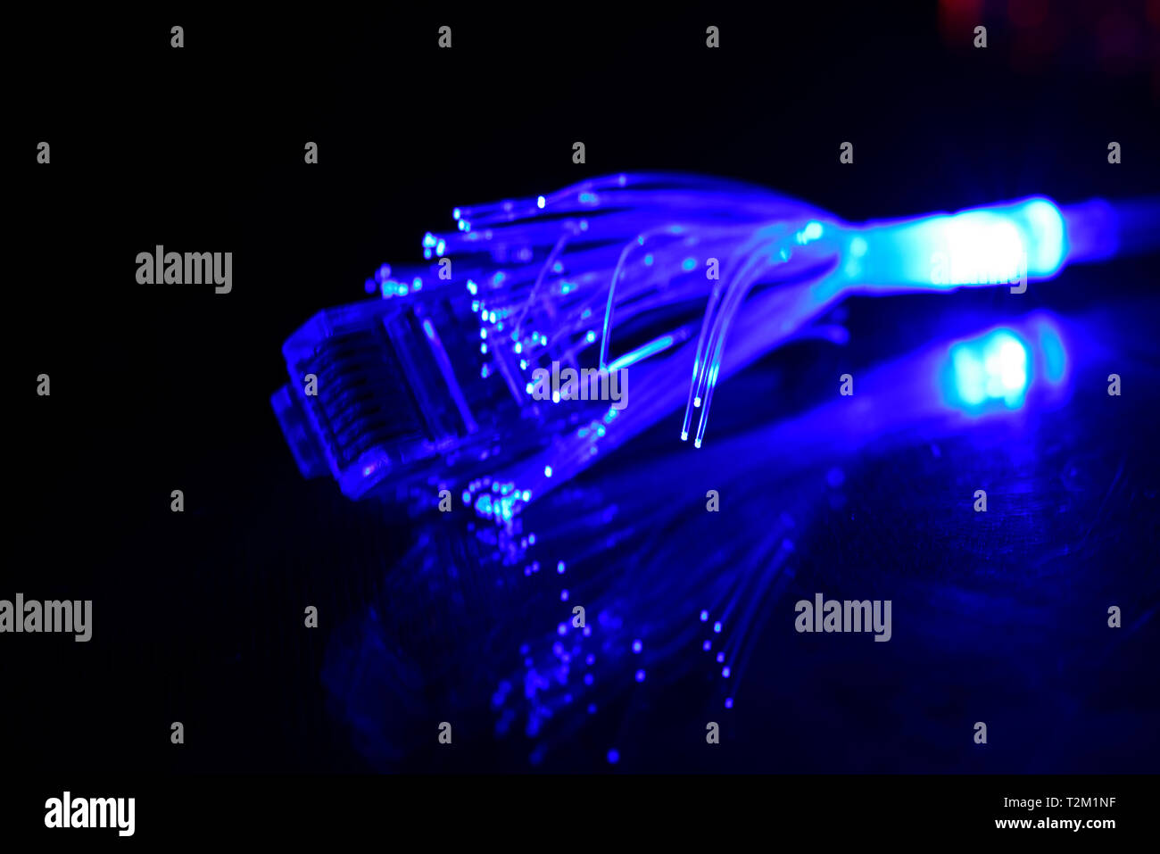 Network cable with fiber optics light on black background Stock Photo ...