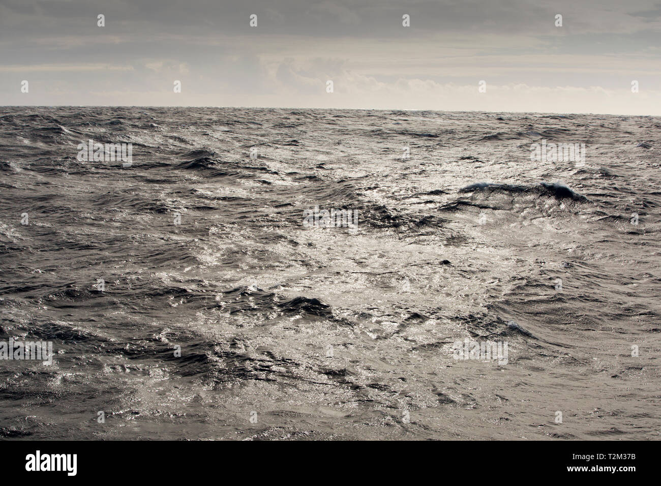 The Drake Passage, Southern Ocean Stock Photo - Alamy