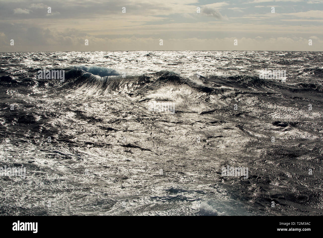 The Drake Passage, Southern Ocean Stock Photo - Alamy