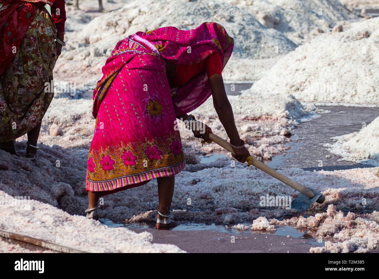 Indian salt mines hi-res stock photography and images - Alamy