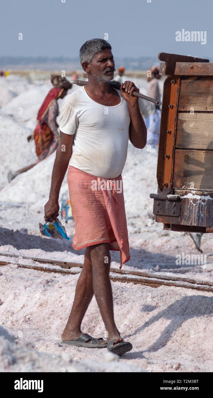Indian salt mines hi-res stock photography and images - Alamy