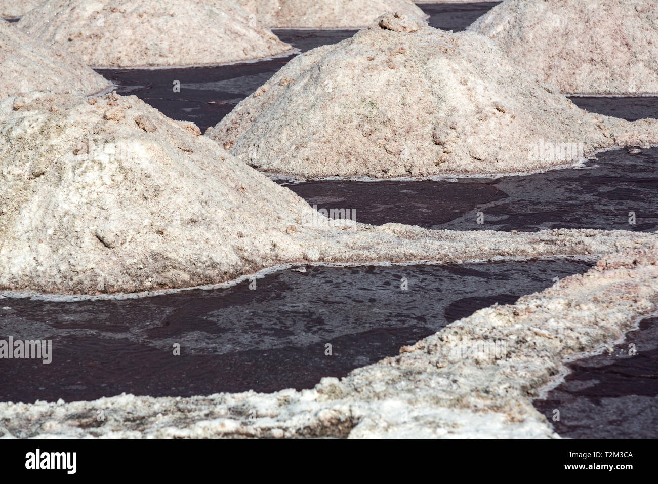 Sambhar lake hi-res stock photography and images - Alamy
