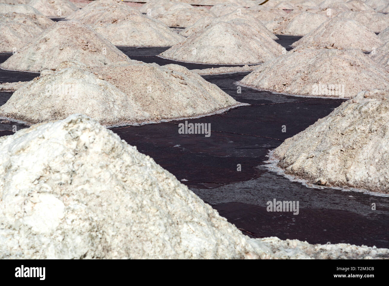 Heaps of salt at saltpans at Sambhar salt lake Stock Photo - Alamy