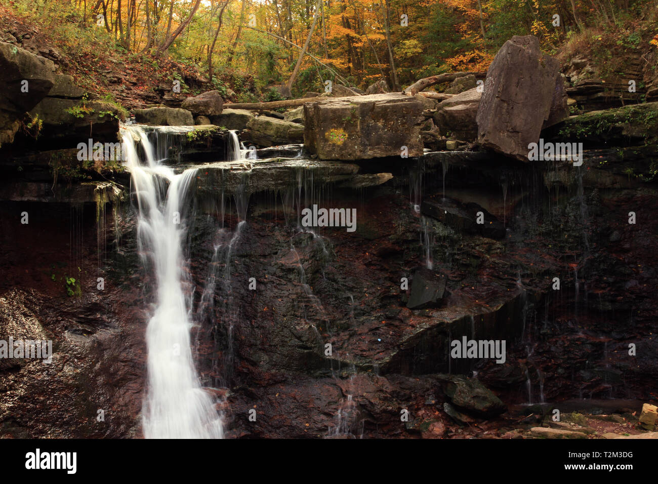 Hamilton landscapes hi-res stock photography and images - Alamy