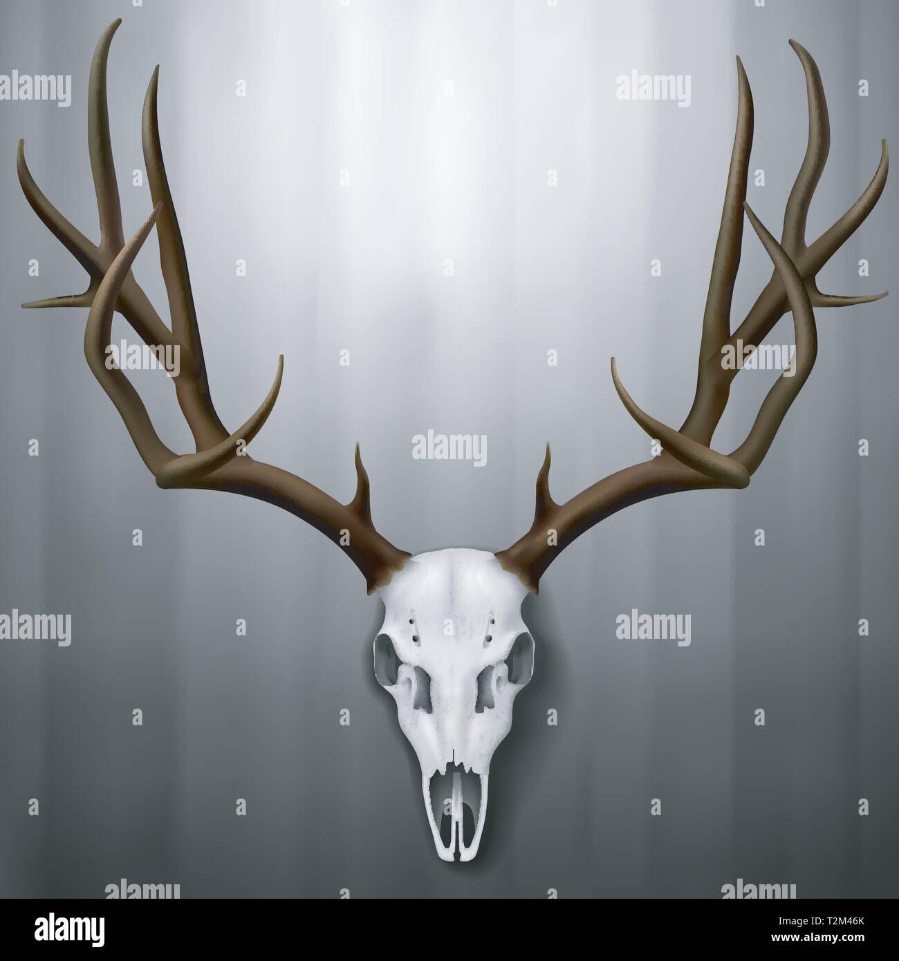 Elk Skeleton Diagram