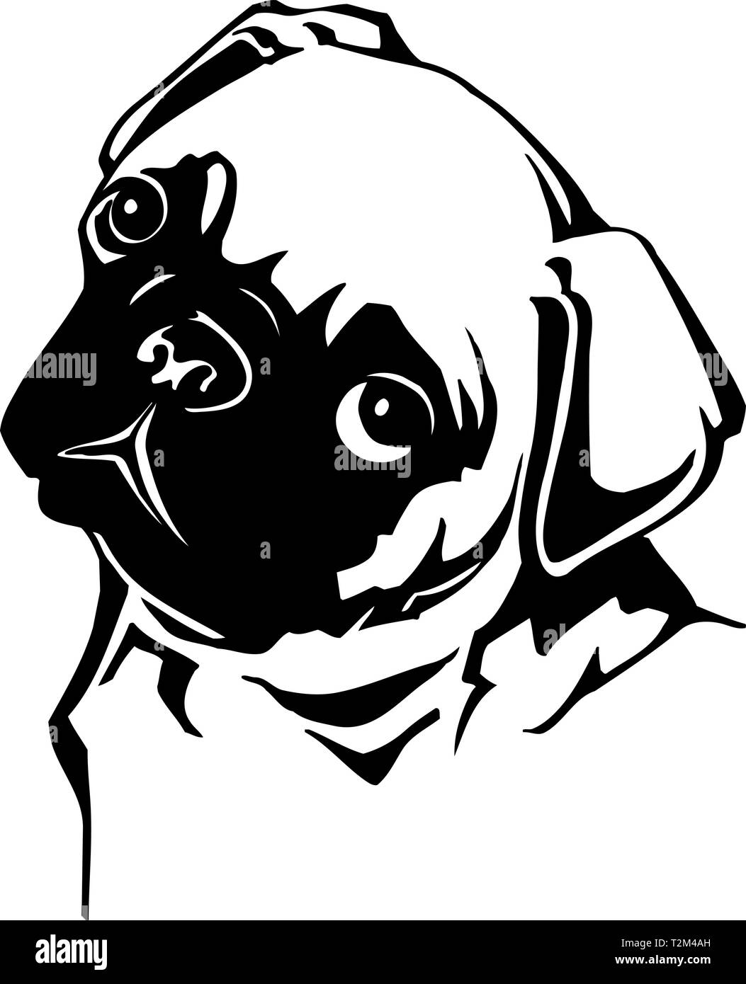 Pug Vector Illustration Stock Vector Image & Art - Alamy