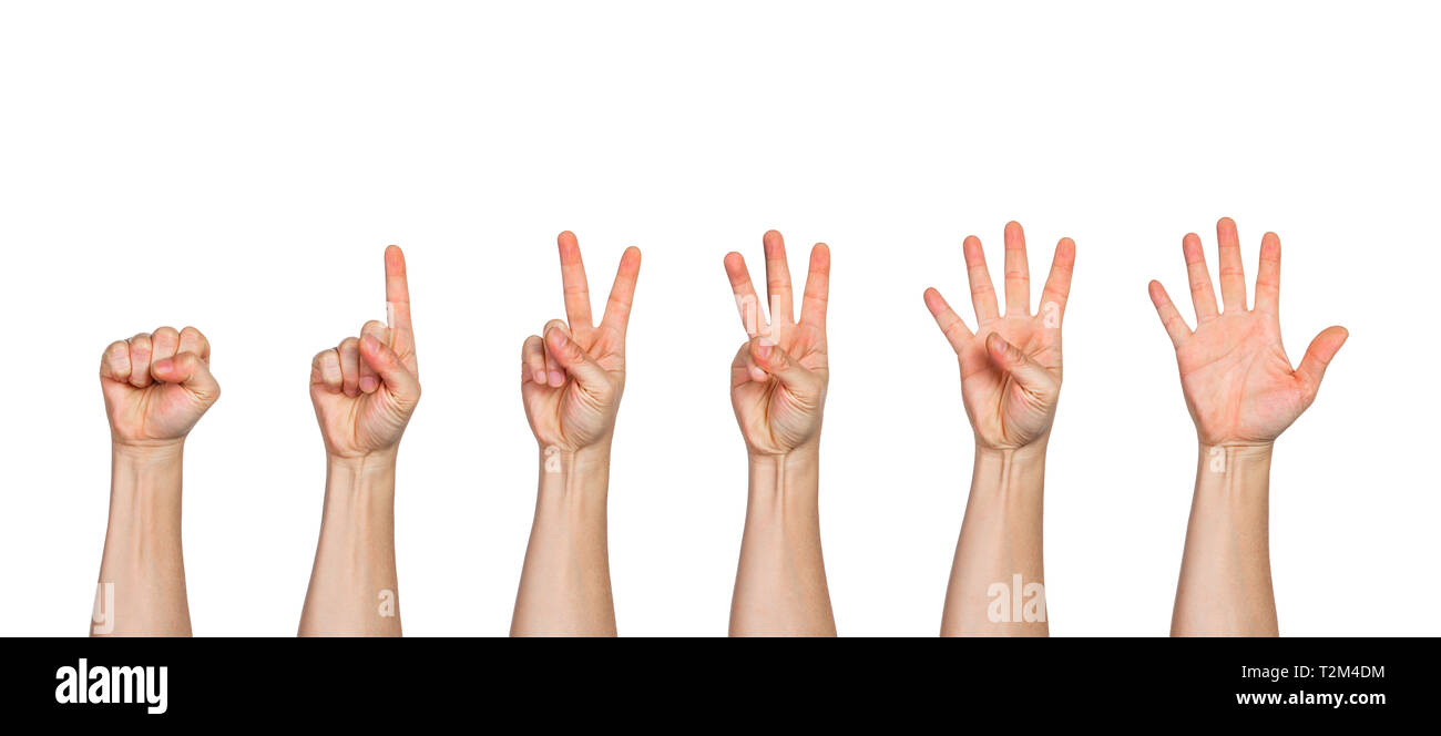 Five male hands raise up, in fist, one finger pointing up, two fingers ...