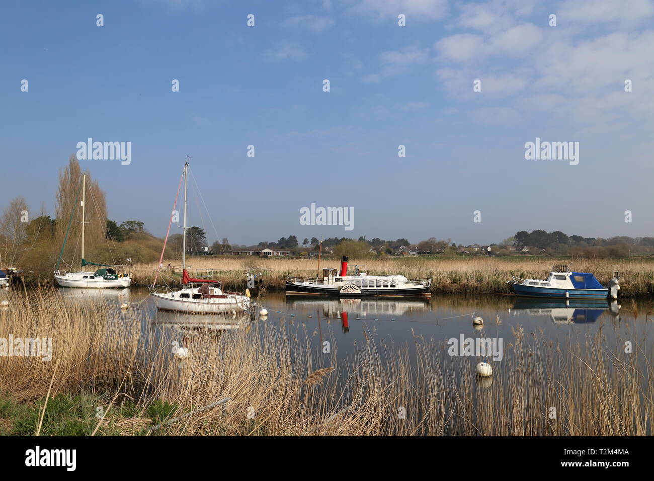 Paddle Steamer Monarch High Resolution Stock Photography and Images - Alamy