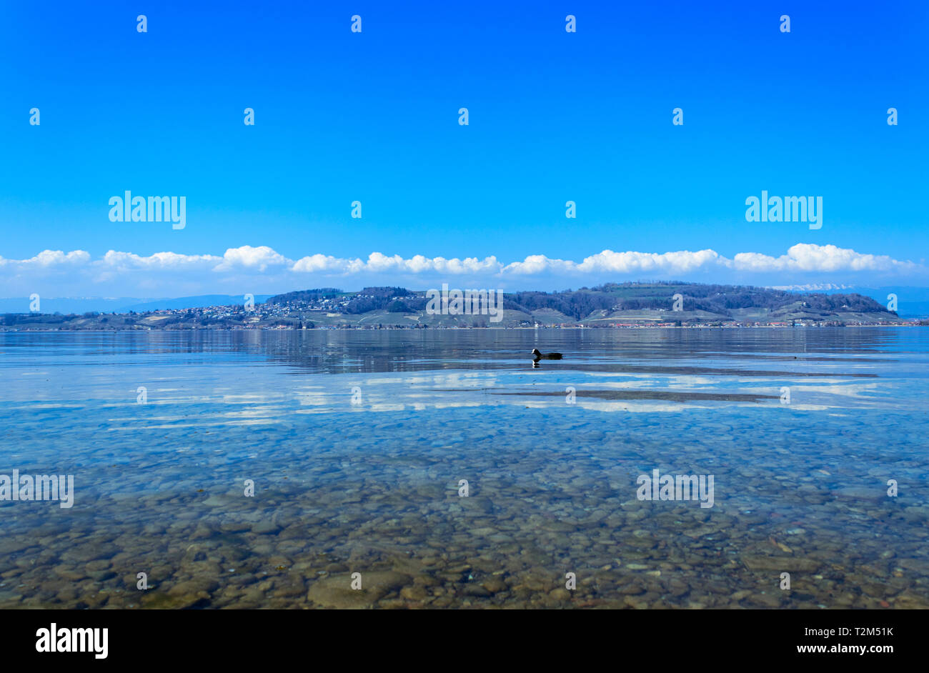 Lake of murten hi-res stock photography and images - Alamy