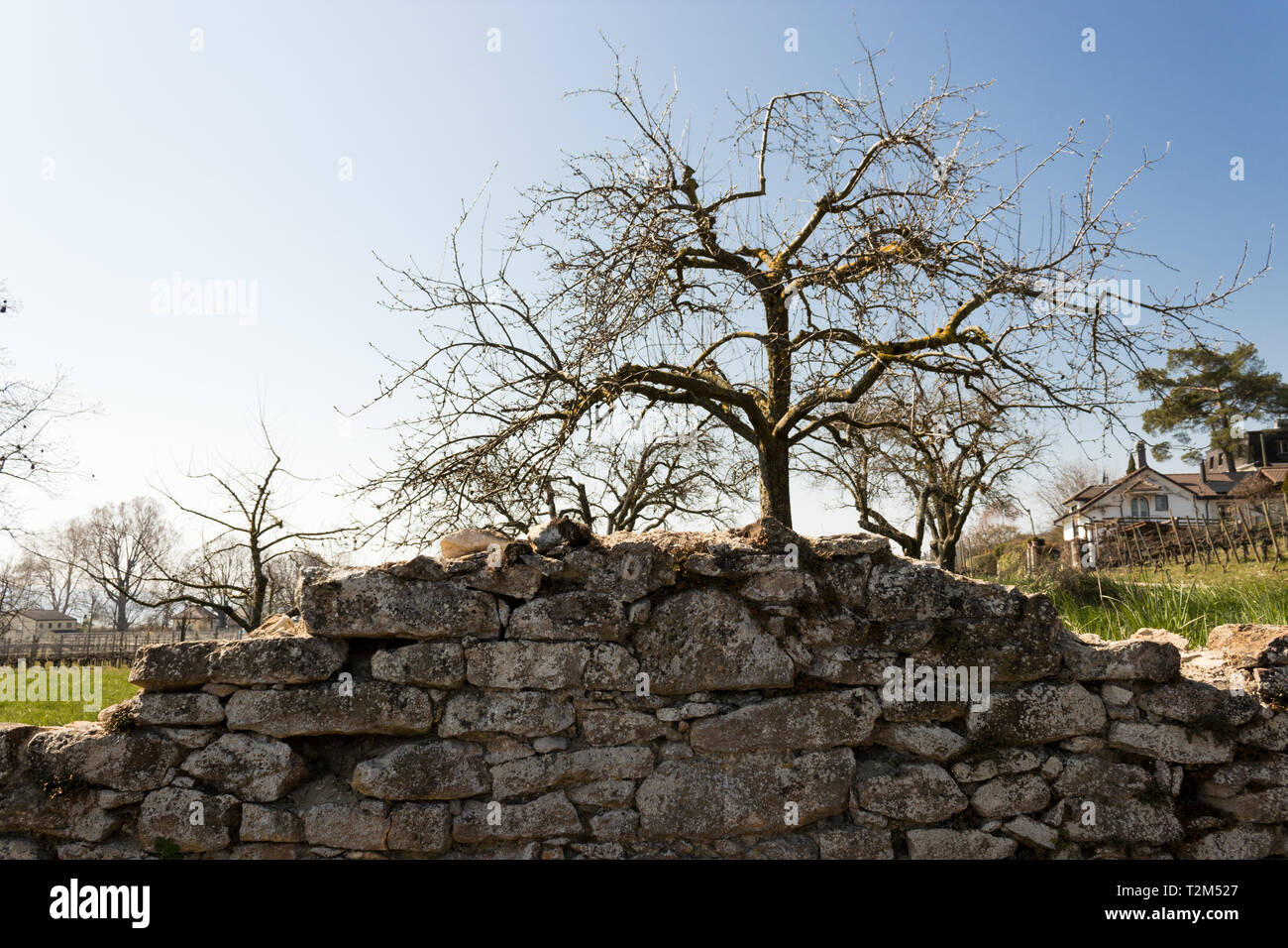 Submontane hi-res stock photography and images - Alamy