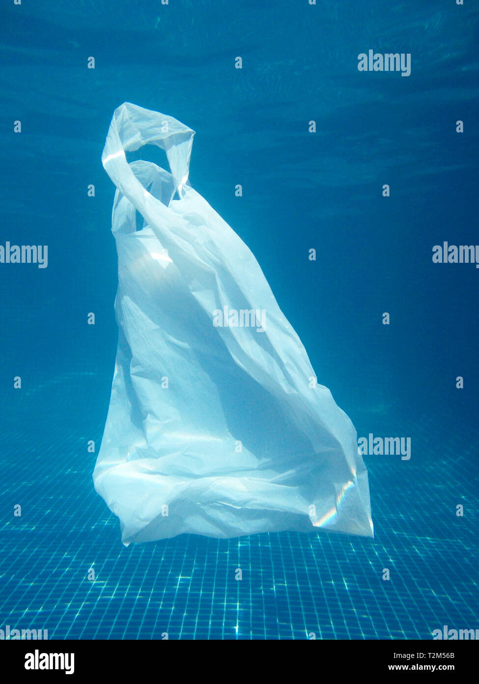 Plastic bag floating into the water. Polluted enviromental. Recycle ...