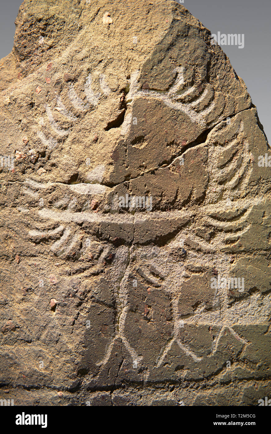 Prehistoric petroglyphs national museum of prehistory in valle camonica ...