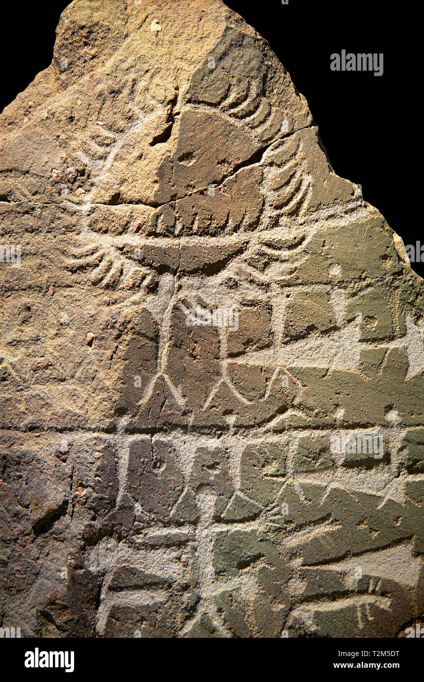 Prehistoric petroglyphs, rock carvings, of geometric designs carved by ...
