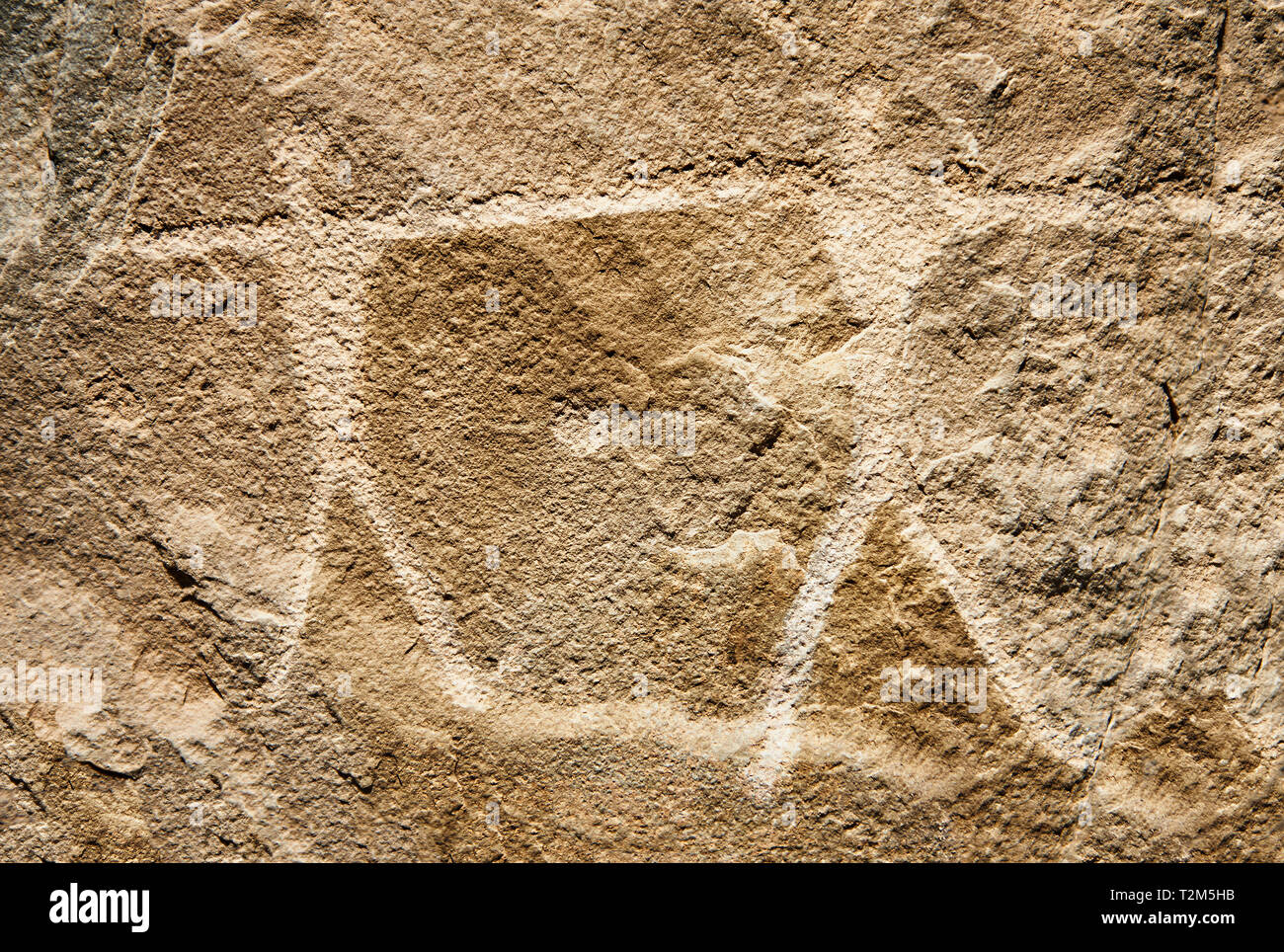 Prehistoric petroglyphs, rock carvings, of geometric designs carved by ...