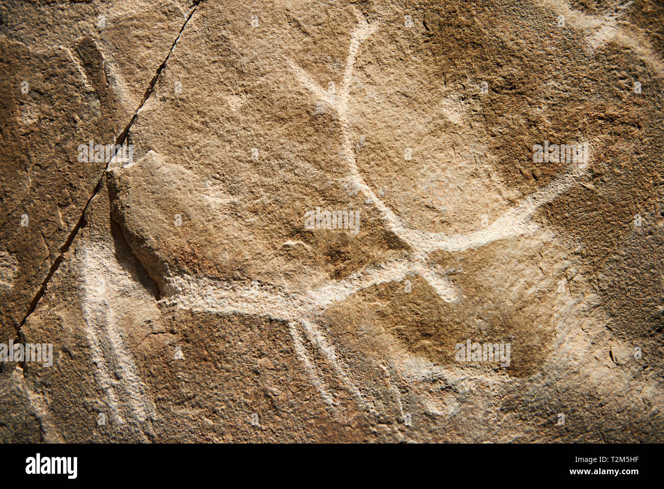 Prehistoric petroglyphs, rock carvings, of geometric designs carved by ...