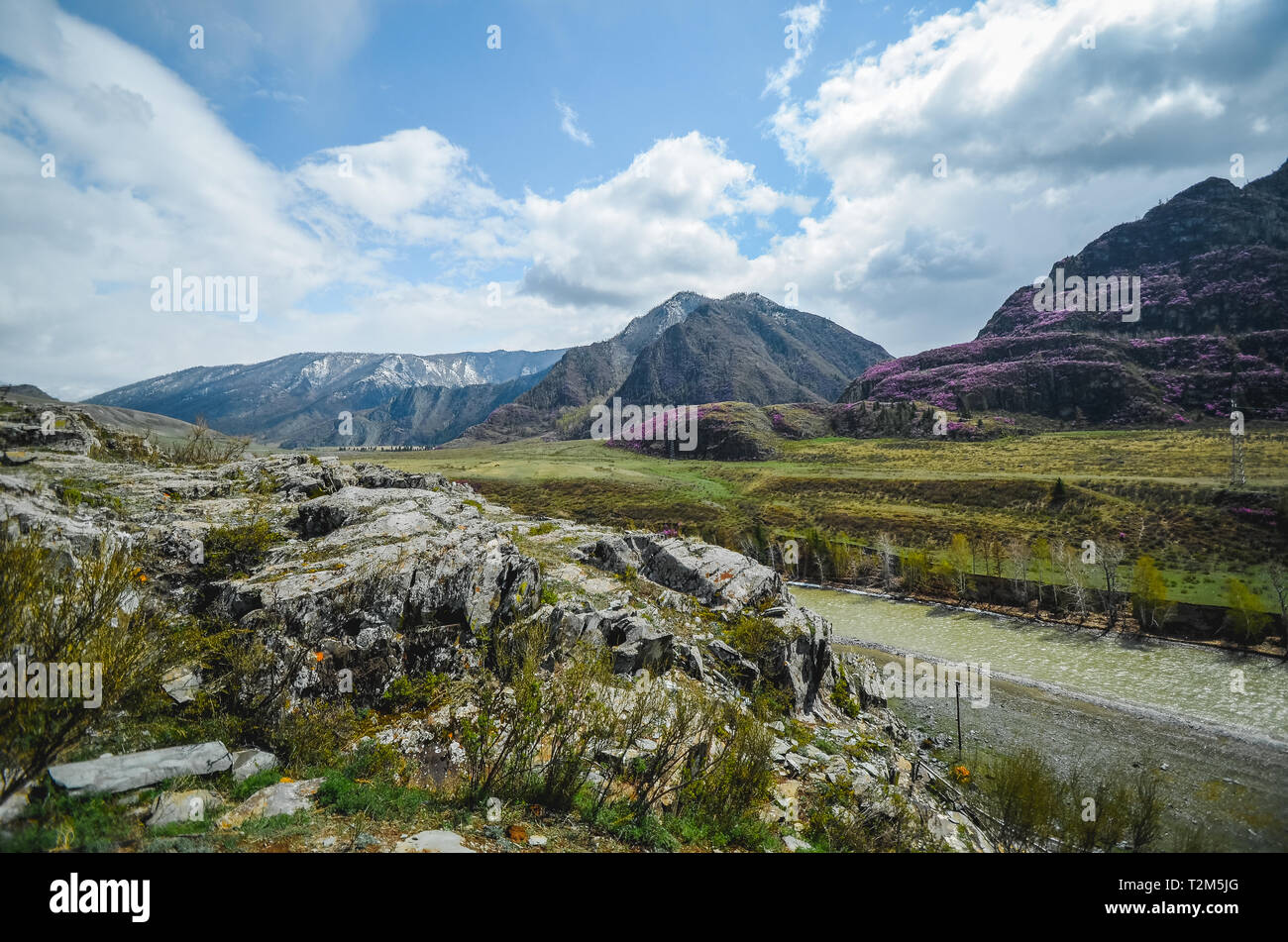 Mountain landscapes of the Chui tract, Altai. Valley Chuya ...