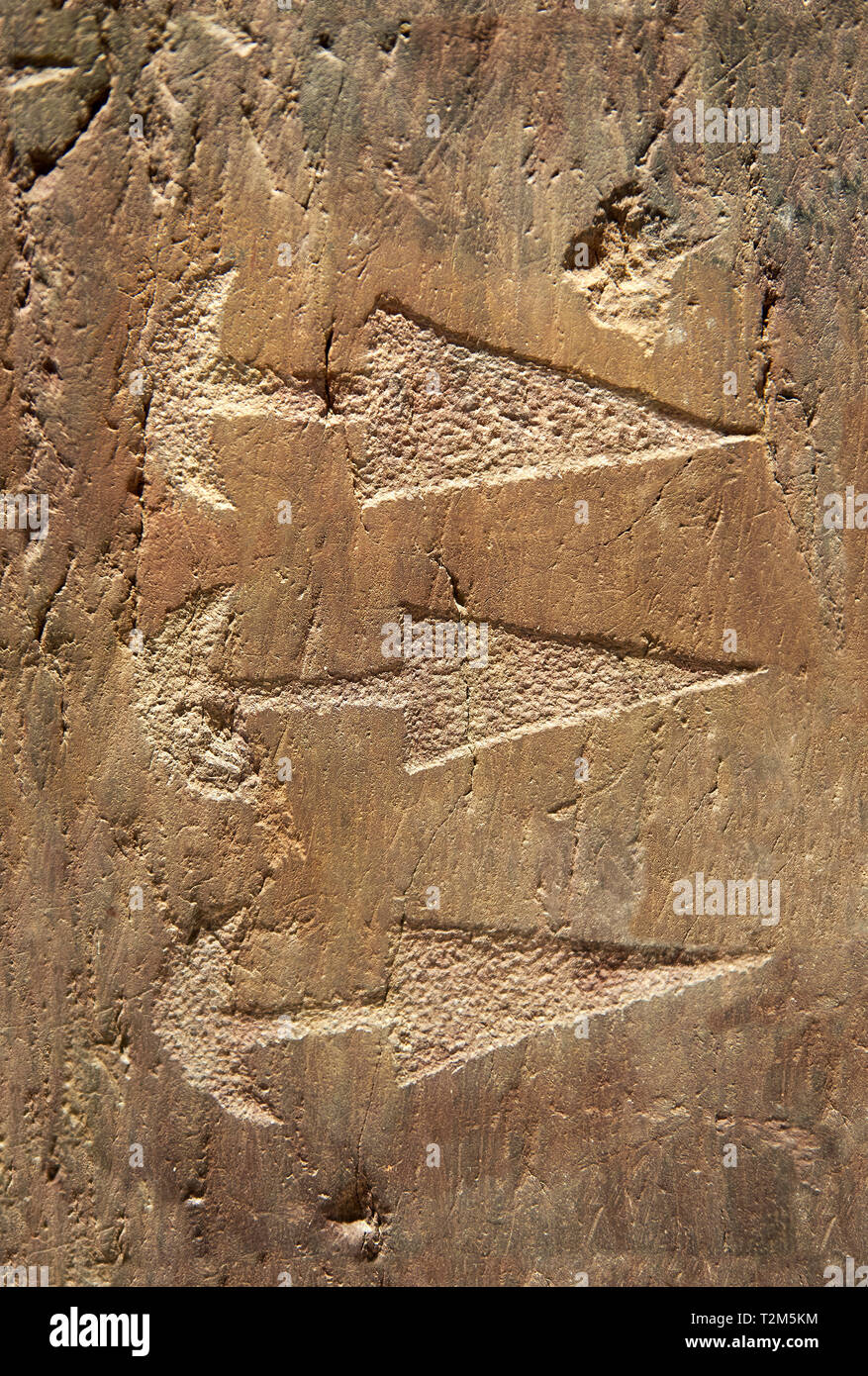 Prehistoric petroglyphs, rock carvings, of geometric designs carved by ...